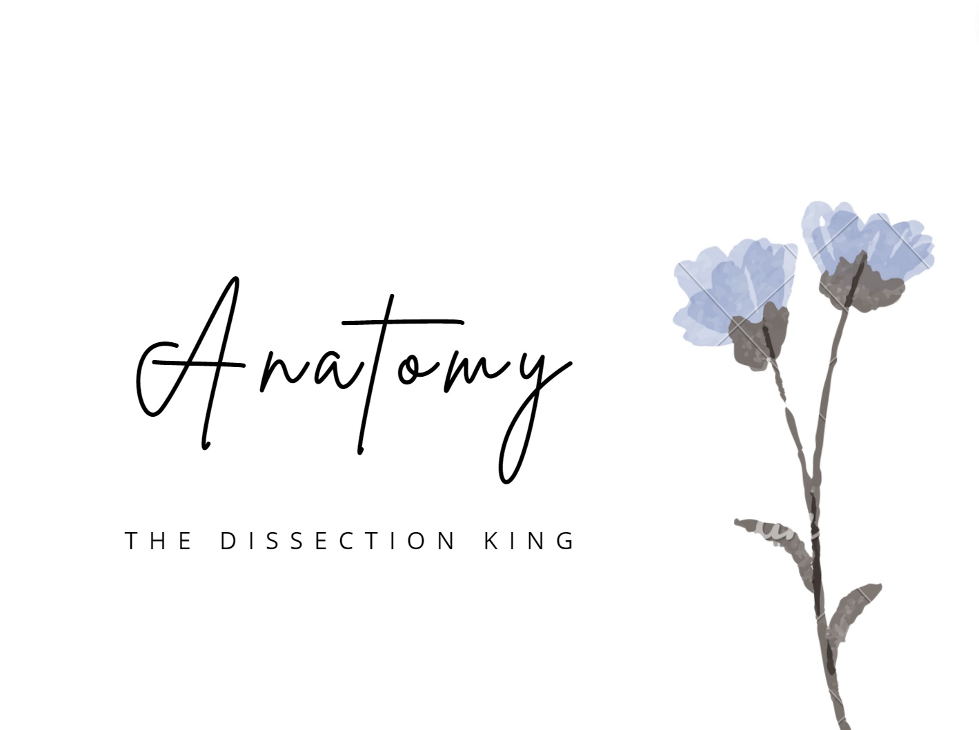 2300+ best anatomy thesis topics for MS/DNB